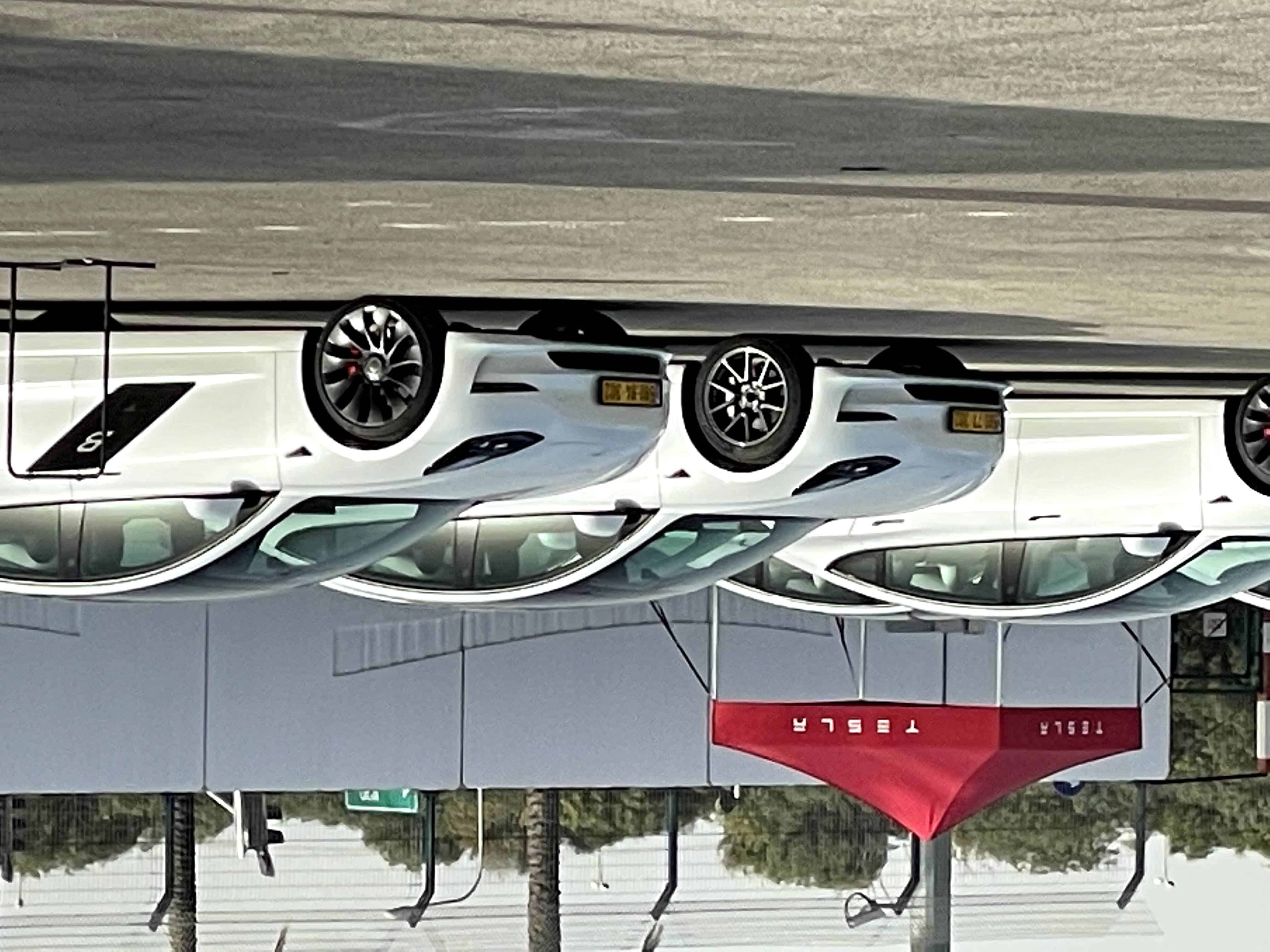 טסלה בארץ - תמונות של הרכבים בנמל – EV Magazine | מגזין רכב חשמלי